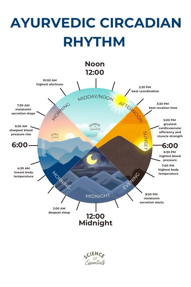 How Ignoring Your Circadian Rhythm Is Destroying Your Health, Producti ...